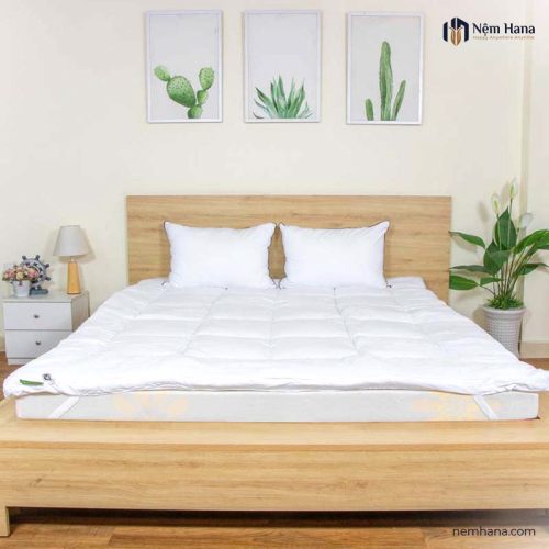 Tiện lợi và độc đáo với topper Tatana Standard