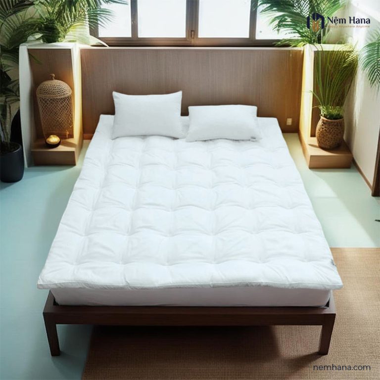 Giấc ngủ mềm như “mây” với topper Edena Delux