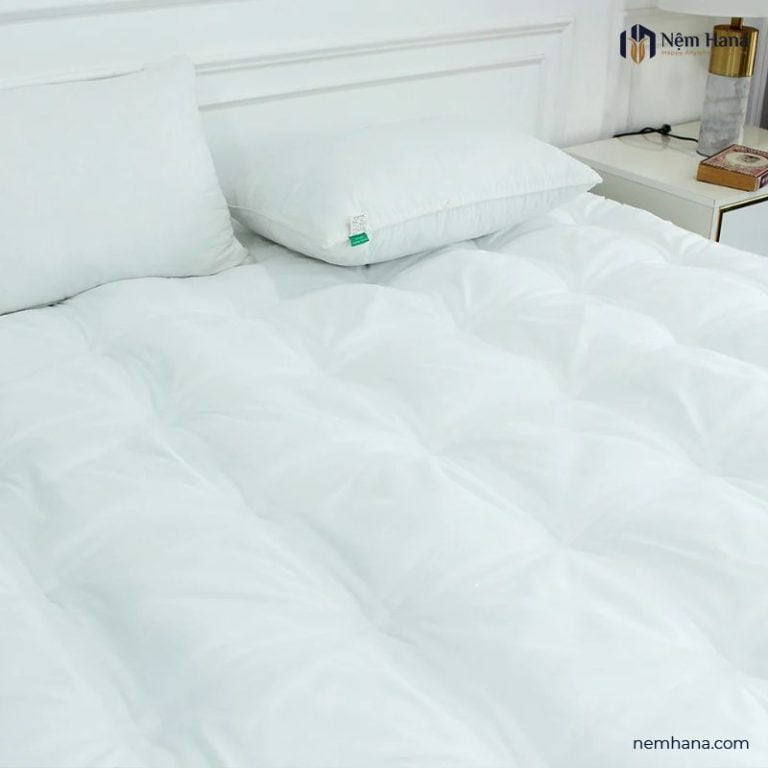 Giấc ngủ mềm như “mây” với topper Edena Delux